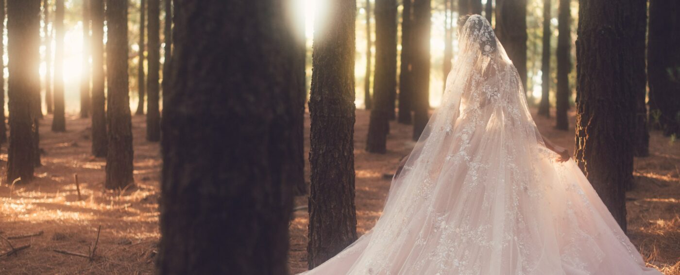 Bridal Couture – Paolo Sebastian